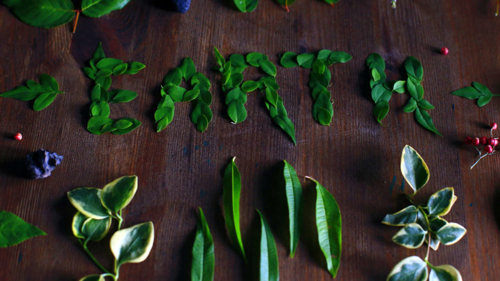 22 Fun & Interesting Facts About The Environment