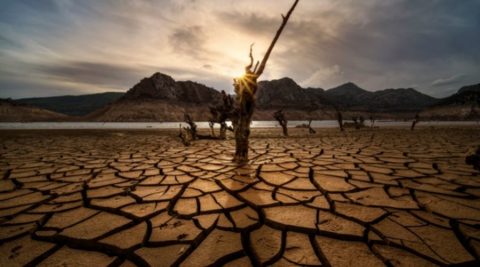 Water Scarcity Facts: 19 Statistics About The Global Water Crisis